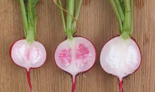 Ravanello Proprietà nutrizionali e benefici