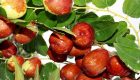 Giuggiola: frutto, proprietà, calorie e come si mangia - Idee Green