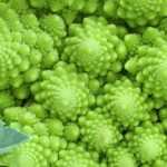 Crucifere: elenco e proprietà - Idee Green