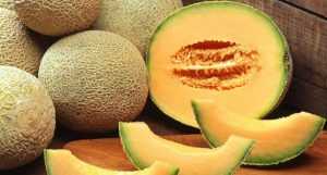 Cucurbitacee: elenco e proprietà