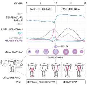 Muco cervicale giallo