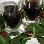 Visciolata fatta in casa - Idee Green