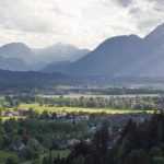 Clima continentale: flora e fauna - Idee Green