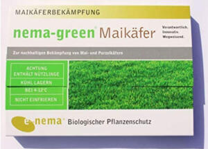 Maggiolino, insetto pericoloso: prevenzione e come combatterlo