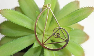 La successione di Fibonacci e il problema dei conigli