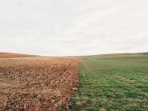 Terreno calcareo, quali sono le sue caratteristiche - Idee Green