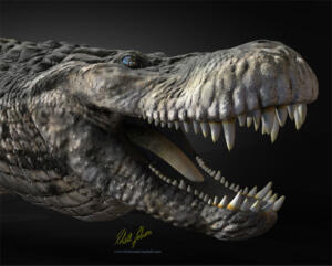 Purussaurus, un caimano estinto e molto pesante